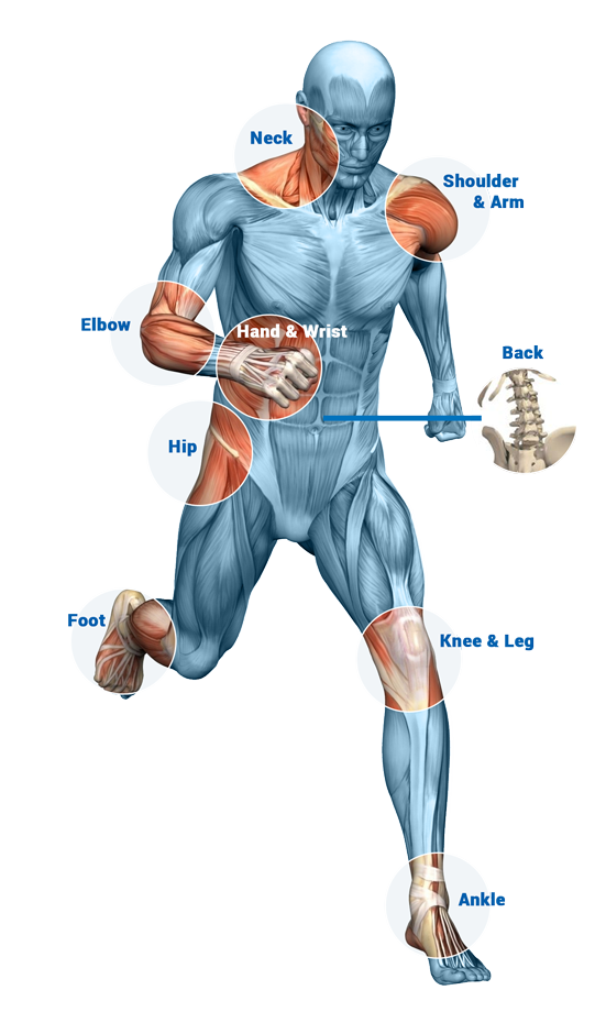 South Osborne Physiotherapy